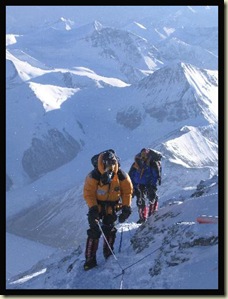 Postcard from Timperley: 11/01/2009 - 18/01/2009